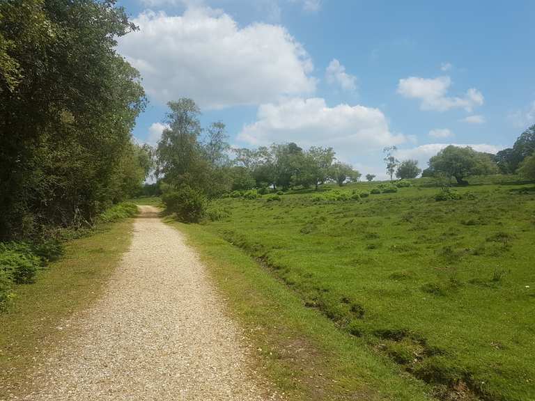 Longcross Plain Rundweg von Fritham - New Forest National Park | Gravel ...