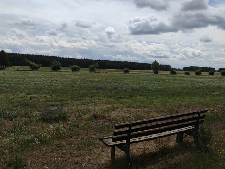 Bank mit schöner Aussicht: Wanderungen und Rundwege | komoot