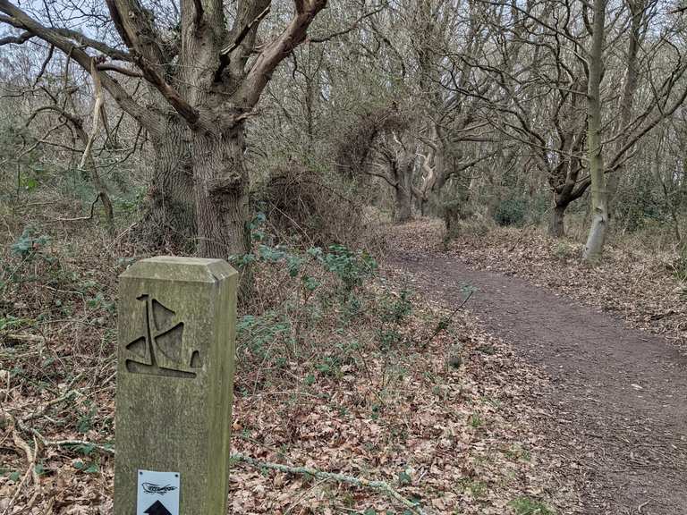 Snape Warren: Wanderungen und Rundwege | komoot