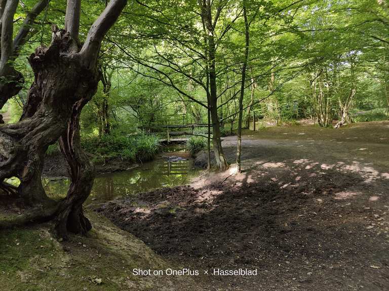 Broxbourne Woods Road Cycle Routes and Map | Komoot