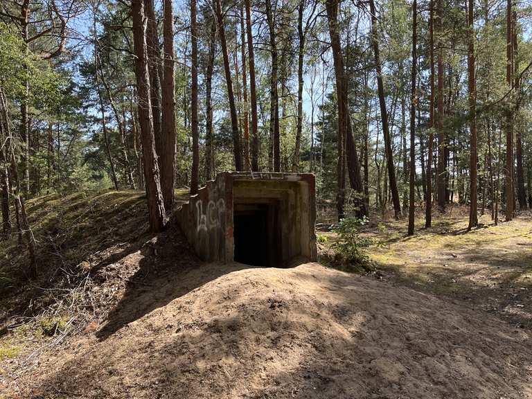Bunker im Wald : Radtouren und Radwege | komoot