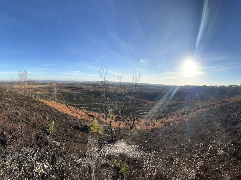 Boucle de Ash, Stoney Castle, et Henley Park Ranges | randonnée ...