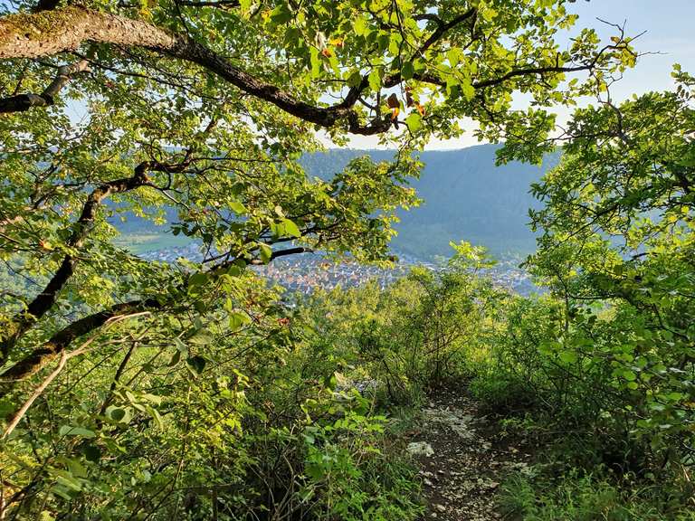 Blick nach Oberlenningen: Wanderungen und Rundwege | komoot