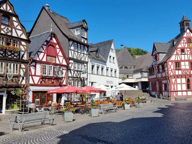 Rhens am Rhein: Wanderungen und Rundwege | komoot