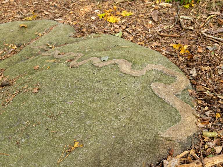 Drachenstein bei Donnern : Radtouren und Radwege | komoot