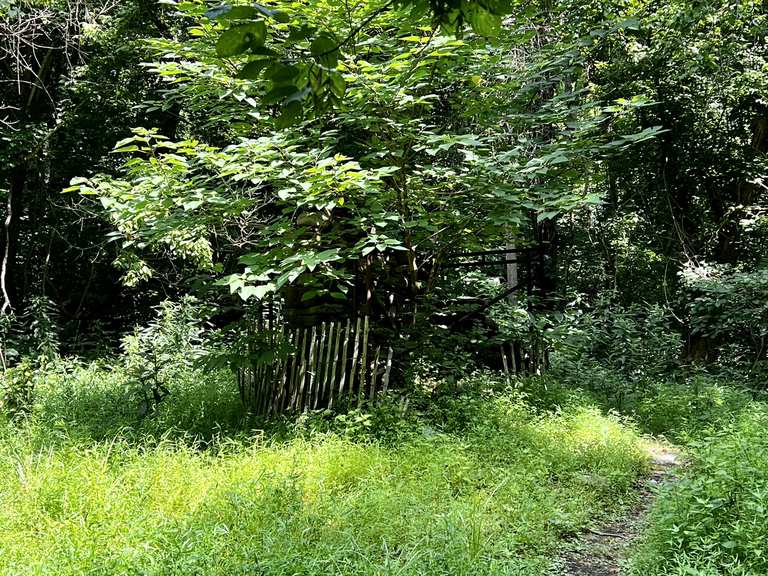 Matildaville Trail & River Trail loop — Great Falls Park | hike | Komoot