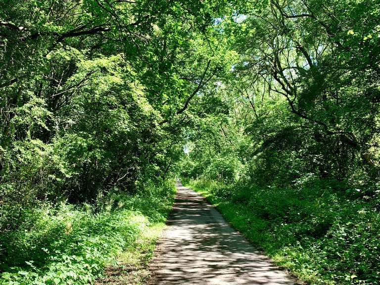 Doddington & Harby – Dukeries Trail and NCN Route 64 - Cycle Routes and ...