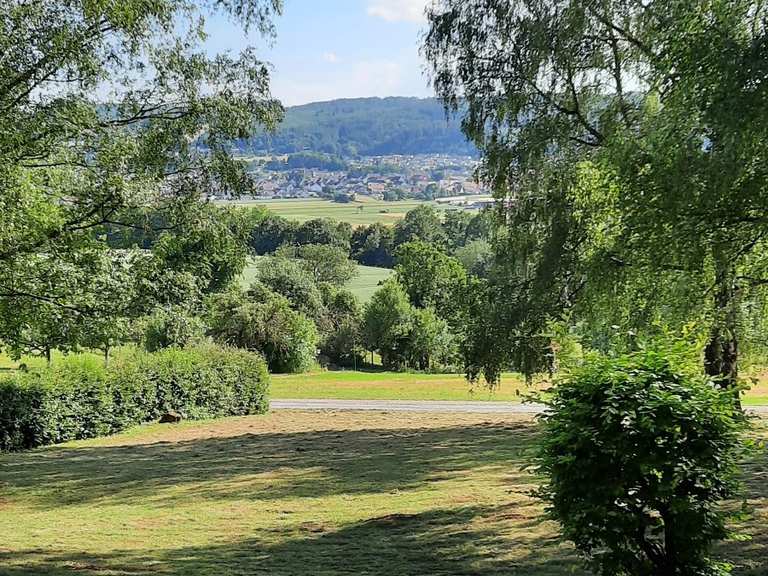 Waldhütte Diedesheim mit Blick auf das Neckartal: Wanderungen und ...