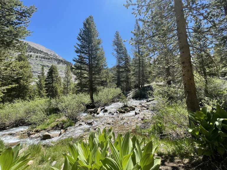 Torrente e aree campeggio : percorsi escursionistici e trekking | Komoot