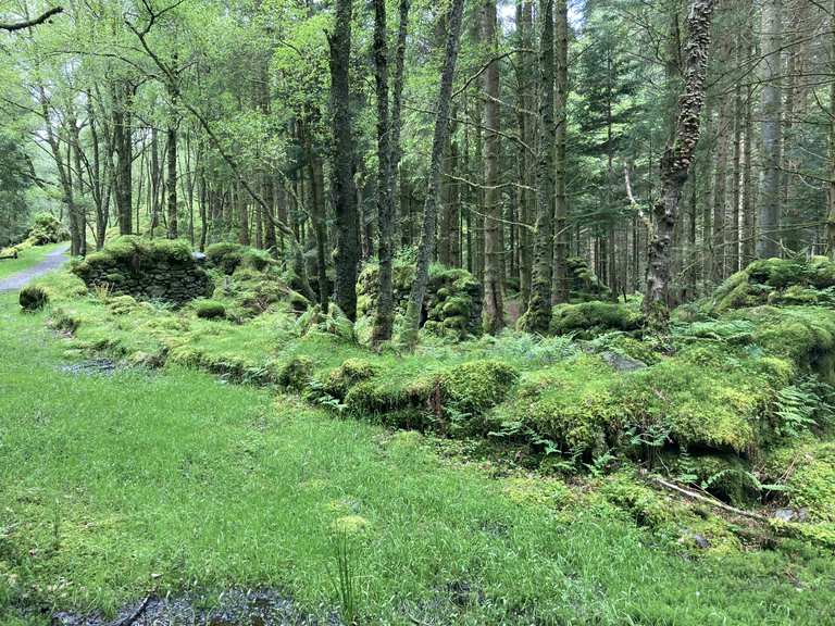 Rowchoish Bothy: Wanderungen und Rundwege | komoot