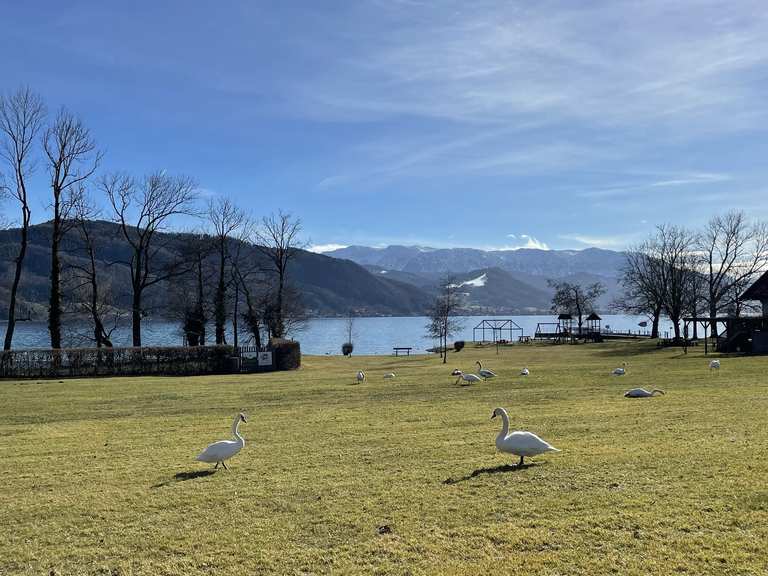 Badeplatz Litzlberg: Wanderungen und Rundwege | komoot