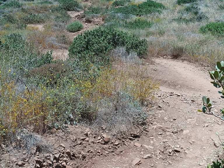 Loop do Pico Mugu - Point Mugu State Park | caminhada | Komoot