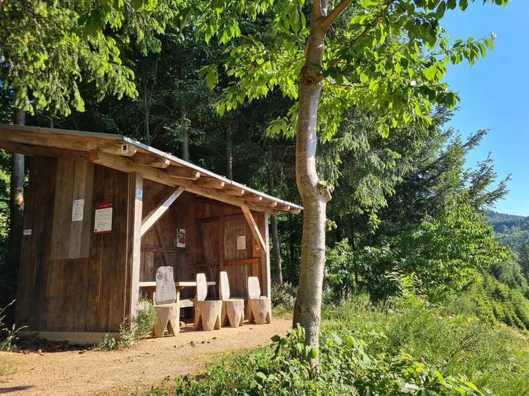 Premiumweg Durbacher Weitblick – Genießerpfade im Schwarzwald ...