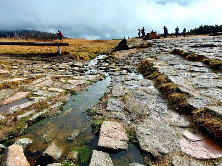 Elbequelle: Wanderungen und Rundwege | komoot