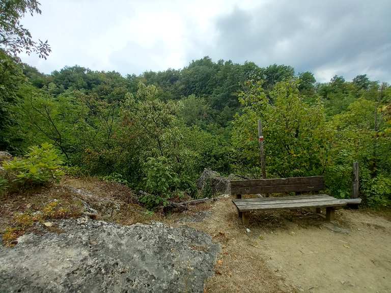 Riserva Naturale del Neirone - Routes for Walking and Hiking | Komoot