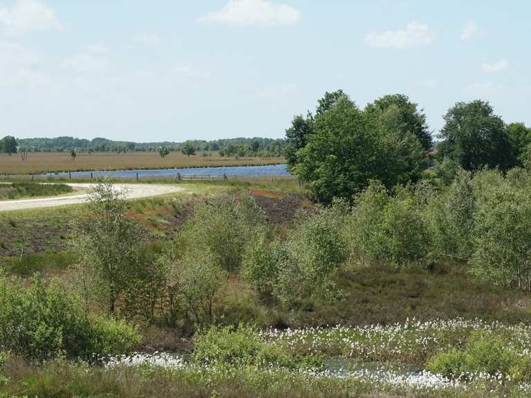 Natuurpark Bargerveen fietsroutes en kaart | Komoot