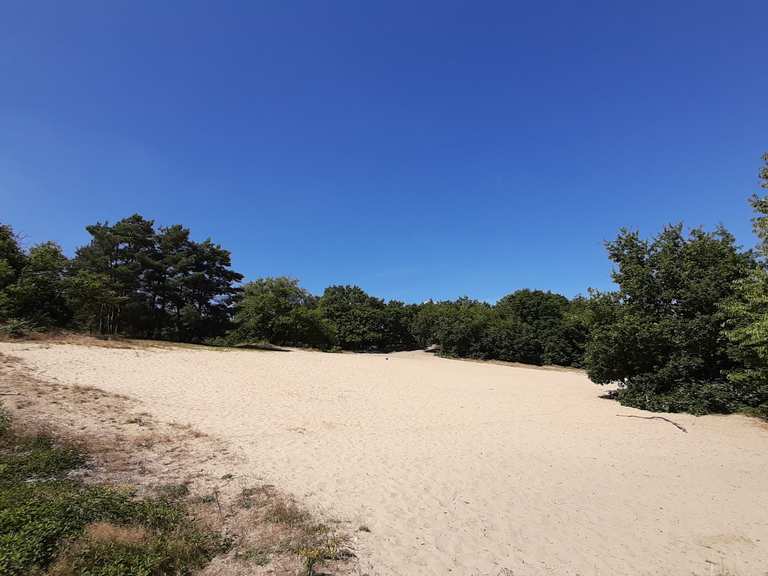 Konijnenberg Vosselaar : Radtouren und Radwege | komoot