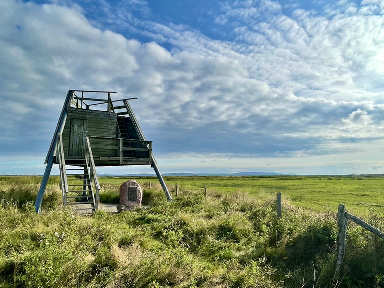 Vogelschutzgebiet auf der Insel Karsiborska Kępa: Wanderungen und ...
