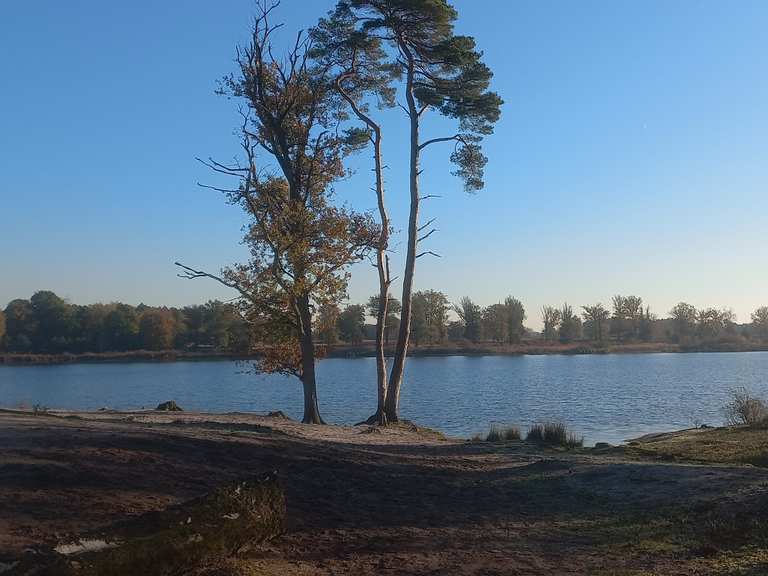 Kampina wandelroutes en hikes | Komoot