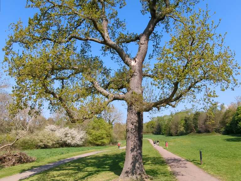 North London lanes loop from East Finchley | ride | Komoot