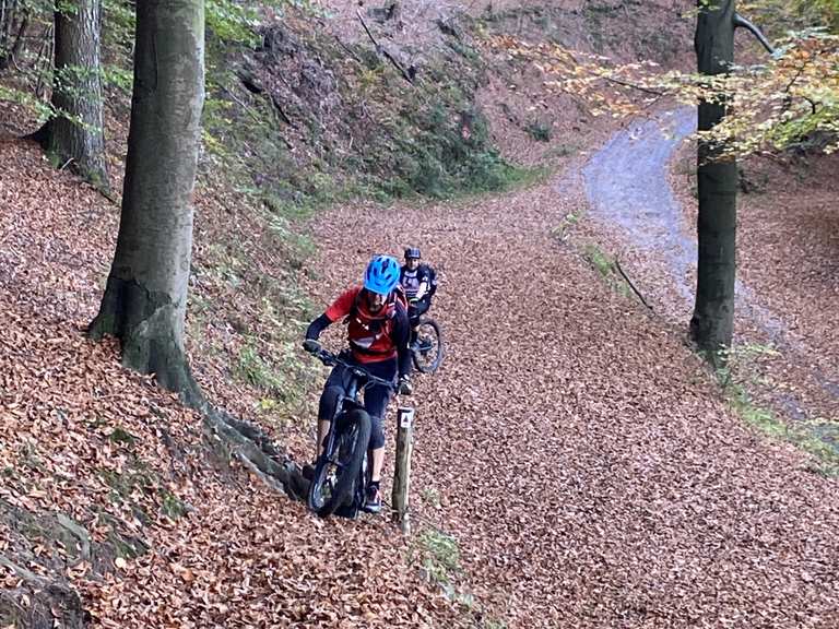 Uphill Trail der MTB10 - Mountain Bike Trails & Tracks | Komoot