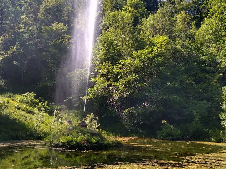 Hackfall Forest loop | run | Komoot