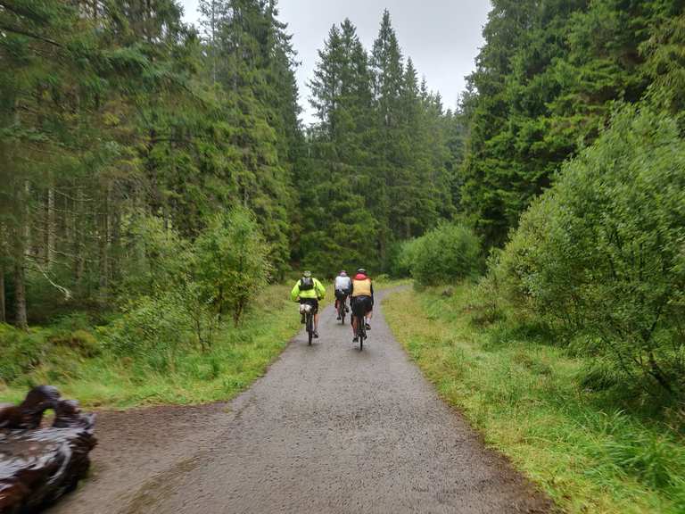 Kielder Water Lakeside Way — Kielder Forest | mountain bike ride | Komoot