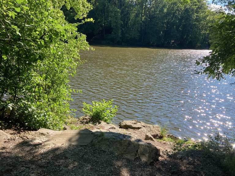 Thalersee Routes for Walking and Hiking | Komoot