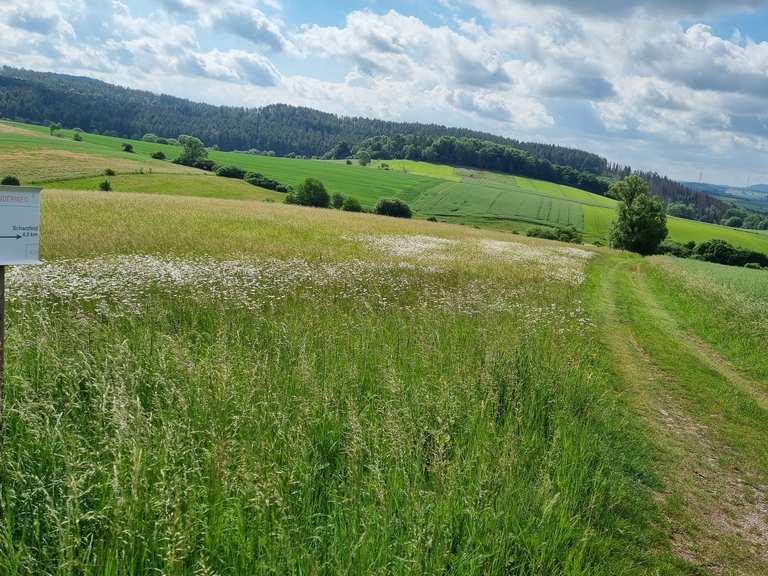 Papenberg bei Herzberg: Wanderungen und Rundwege | komoot