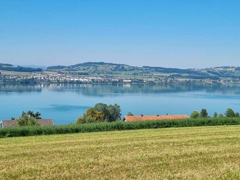 Autour du lac de Sempach | Tour à vélo | Komoot