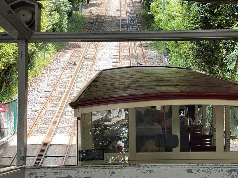 Bom Jesus Park – Elevador do Bom Jesus do Monte rondtocht vanuit ...