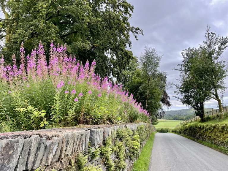 Boucle de Bowland Bridge et de la vallée de Grizedale depuis Windermere ...