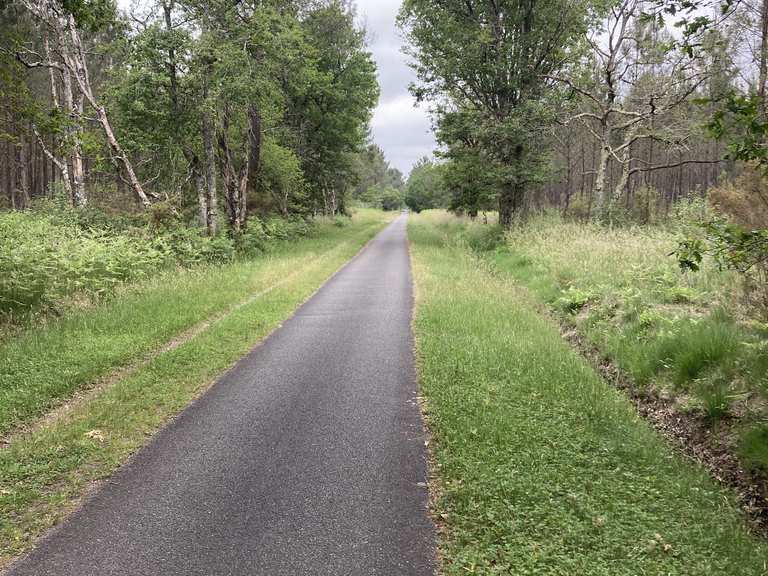 Radweg Bordeaux – Lacanau : Radtouren und Radwege | komoot