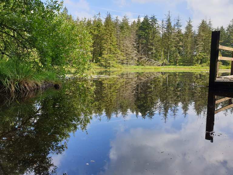 Grizedale Forest loop from the Visitor Centre — Lake District National ...