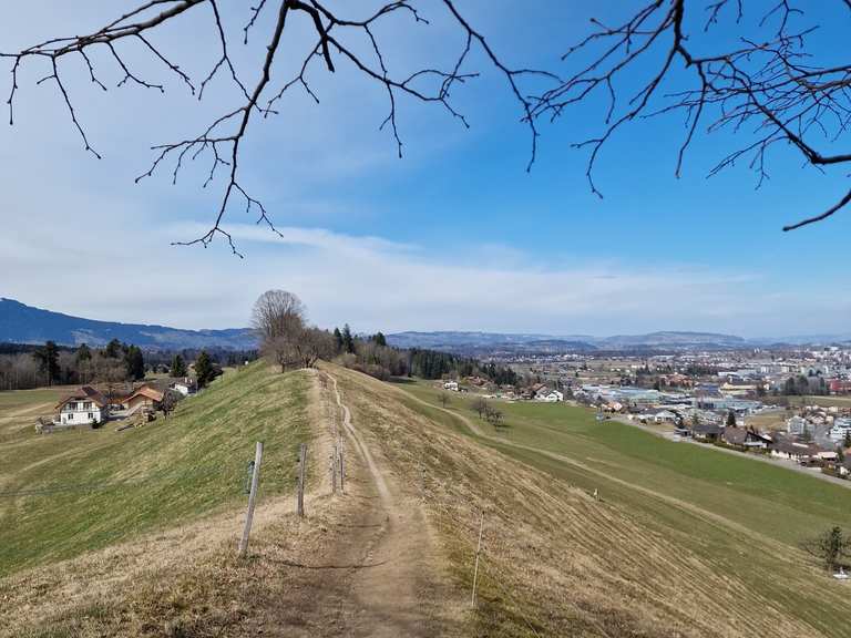 Gwatt Burgunderweg: Wanderungen und Rundwege | komoot