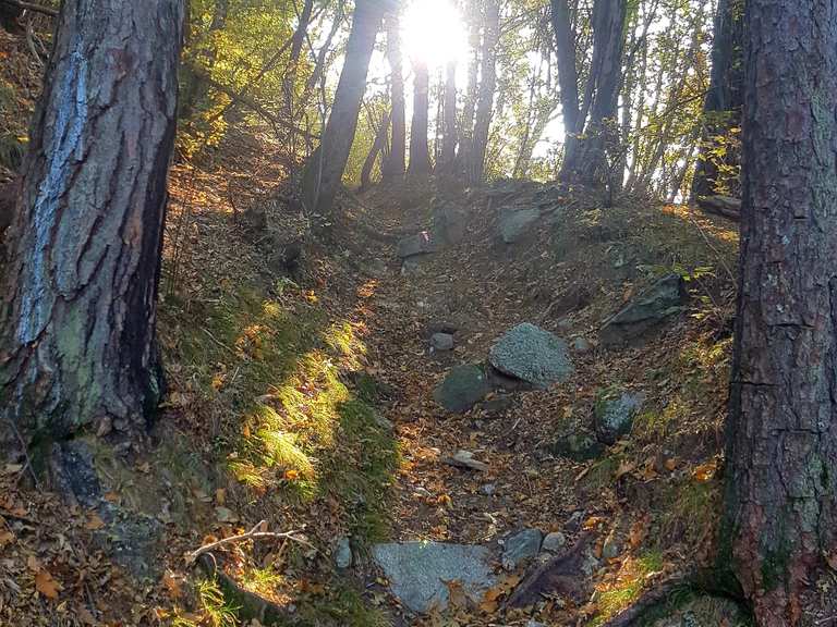 Tappa 2 variante bassa: Da Lierna a Varenna - Sentiero del Viandante ...