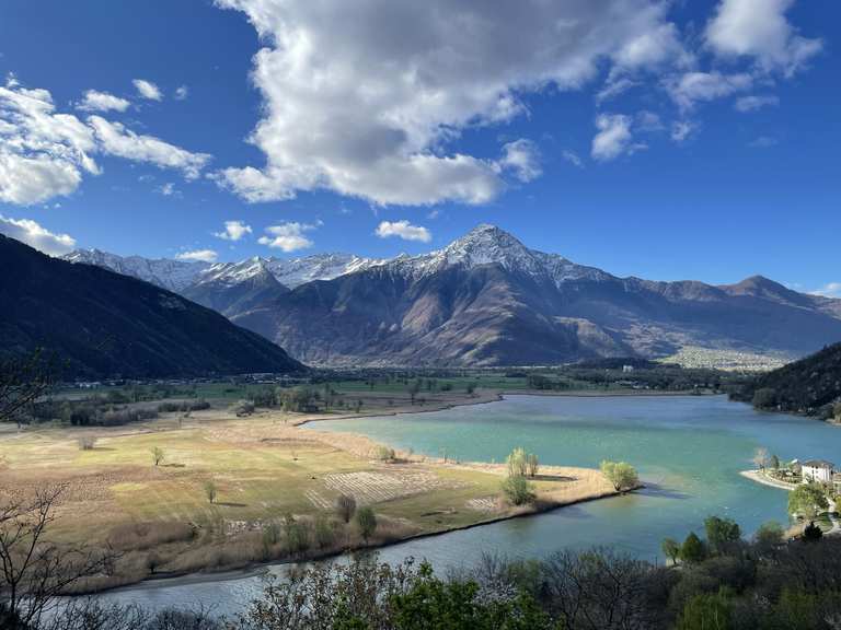 Panoramico del Lago di Mezzola - Riserva Naturale Pian di Spagna e Lago ...