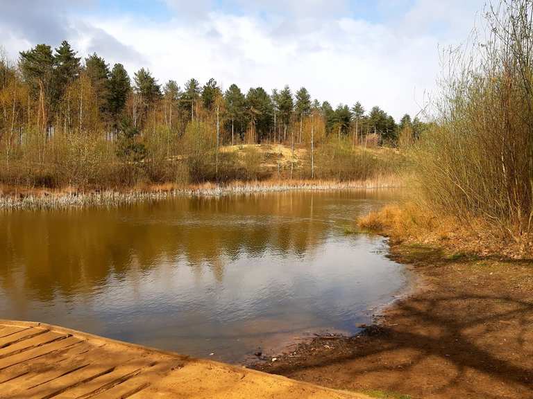 Voetgangersbrugje over het ven wandelroutes en hikes | Komoot
