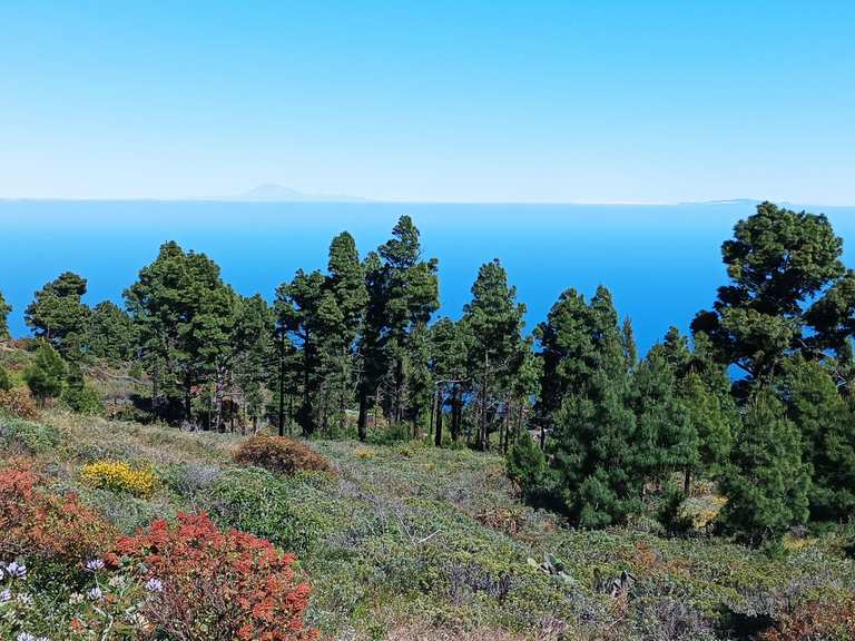 Volcán de Martín über den Wanderweg Pie del Volcán Martín - Fuente de ...