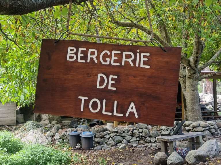 Bergerie de Tolla – Parc naturel régional de Corse | wandeling | Komoot