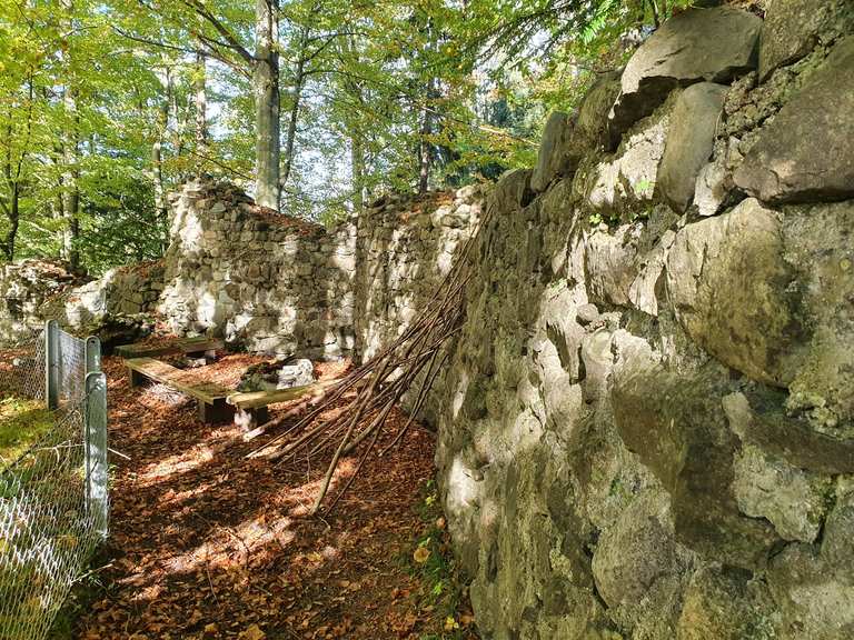 Ruine Helfenberg Routes for Walking and Hiking | Komoot