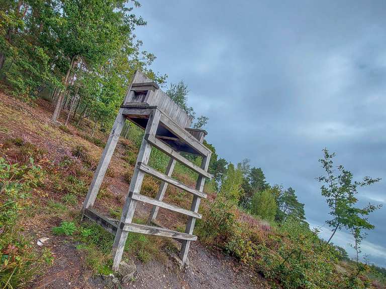 Wooden boardwalk in the Vallei van de Ziepbeek Nature Reserve – Hiking ...