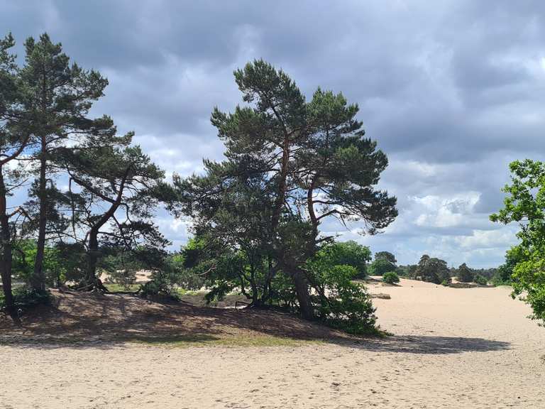 Soesterduinen fietsroutes en kaart | Komoot