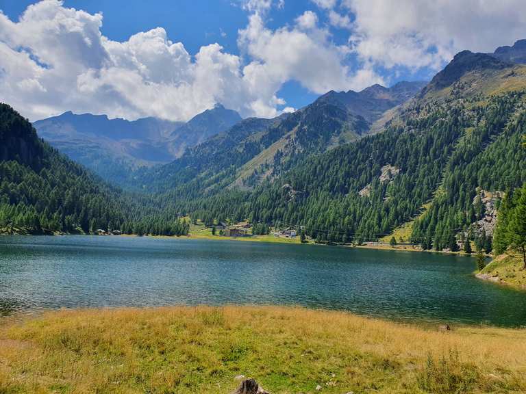 Hike in Val d'Ultimo – loop in Stelvio National Park | hike | Komoot