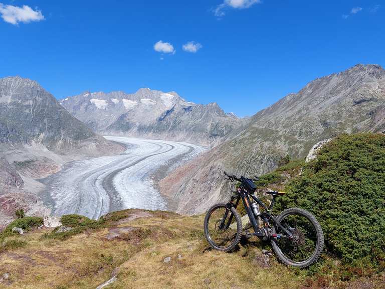 Aletsch Arena Panorama Trail: Bettmerhorn to Moosfluh | Wanderung | Komoot