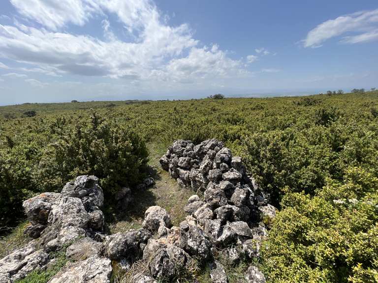 Foncea wandelroutes en hikes | Komoot