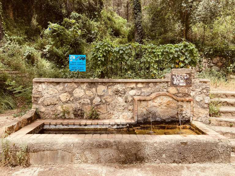 Paraje Natural La Casella — Vuelta por el barranco La Casella y Pla del ...