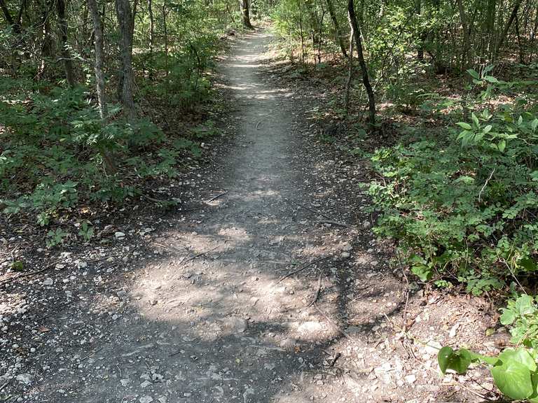 Cedar Ridge Outer Loop — Cedar Ridge Preserve | hike | Komoot