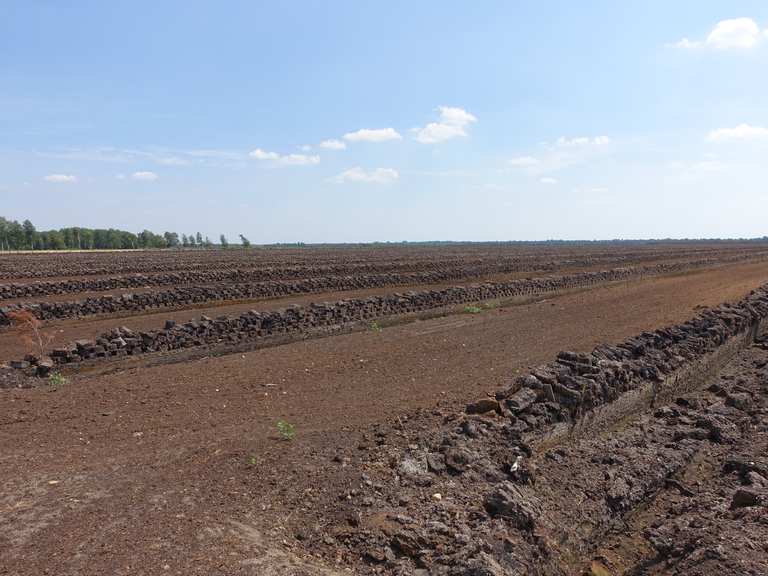 Torfabbau: Wanderungen und Rundwege | komoot