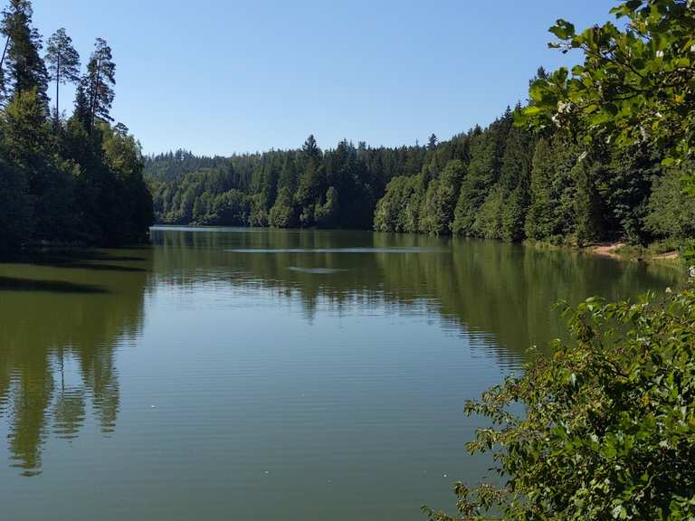 Steg im Herrenbachstausee : Radtouren und Radwege | komoot